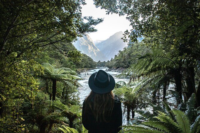 Self-Guided Milford Track Day Walk - Milford Sound - What Makes This Experience Stand Out?