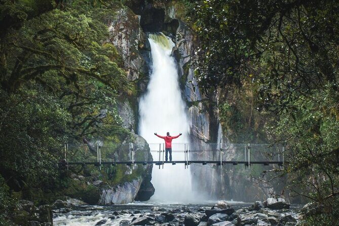 Self-Guided Milford Track Day Walk - Milford Sound - What Should You Consider?