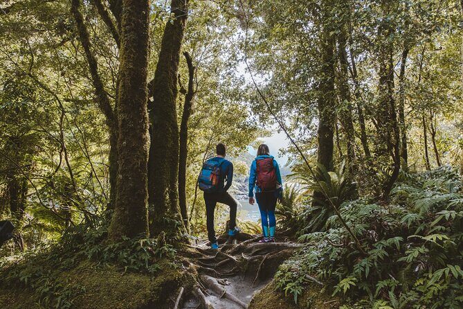 Self-Guided Milford Track Day Walk - Milford Sound - Final Thoughts: Who Will Love This Experience?