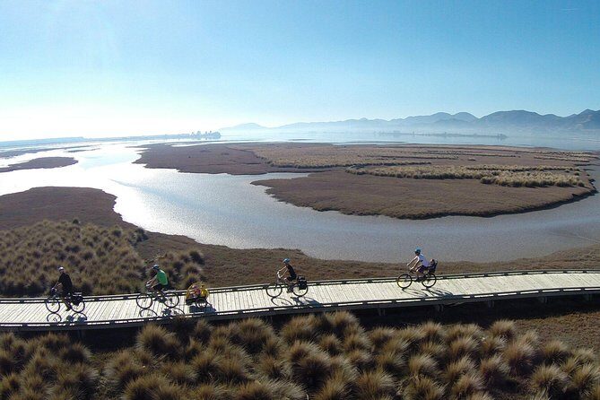 Self-Guided Nelson to Mapua Cycle Adventure - Key Points