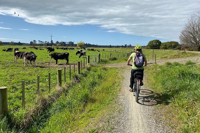 Self-Guided Nelson to Mapua Cycle Adventure - Final Thoughts