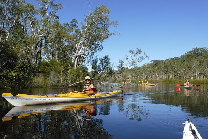 Self-Guided Noosa Everglades Kayak Tour - Introduction