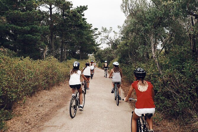 Self-Guided Point Nepean National Park Bike Hire - Wildlife and Nature