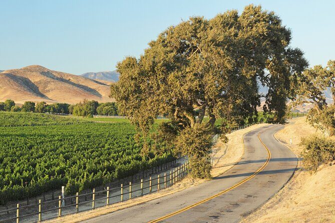 Self Guided Tour of Solvang and Santa Ynez Wine Country - Authentic, Scenic, and Fun