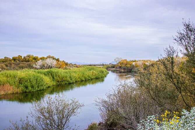 Self-Guided Yuma Scavenger Hunt: Desert Sun & Fun - Authentic Insights from Other Travelers