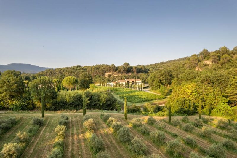 Self Tour of the Olive Oil Mill & Olive Oil Tasting - Olive Oil Tasting Experience