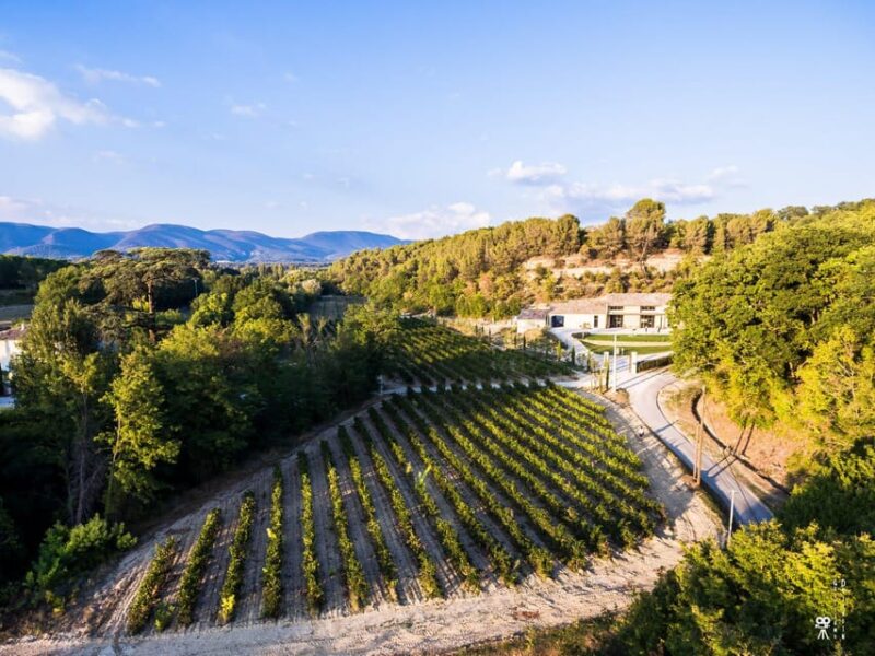 Self Tour of the Olive Oil Mill & Olive Oil Tasting - Customer Feedback and Ratings