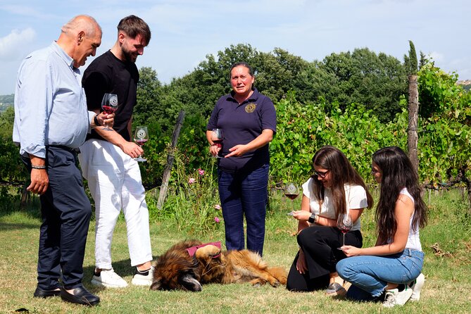 Sella Delle Spine Taurasi: Tasting, Vineyard and Cellar Tour - Accessibility and Participation Options