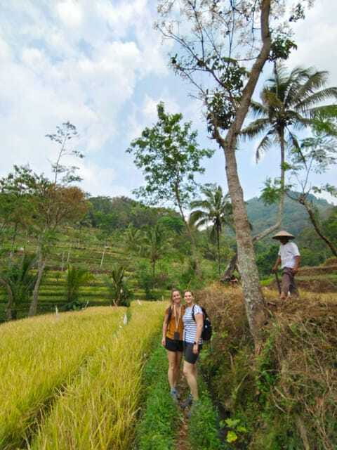Selogriyo Temple, treking Java Rice Terrace hidden waterfall - Who Should Consider This Tour?