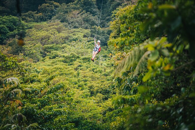 Selvatura Park Gold Package (Canopy & Hanging Bridges) - Lunch and Refreshments
