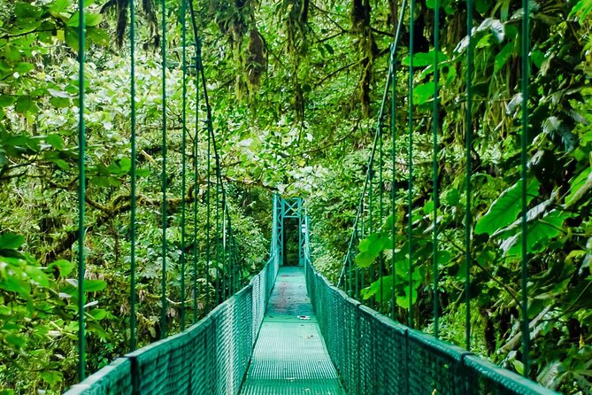 Selvatura Park Hanging Bridge Tour in Monteverde - Accessibility and Requirements