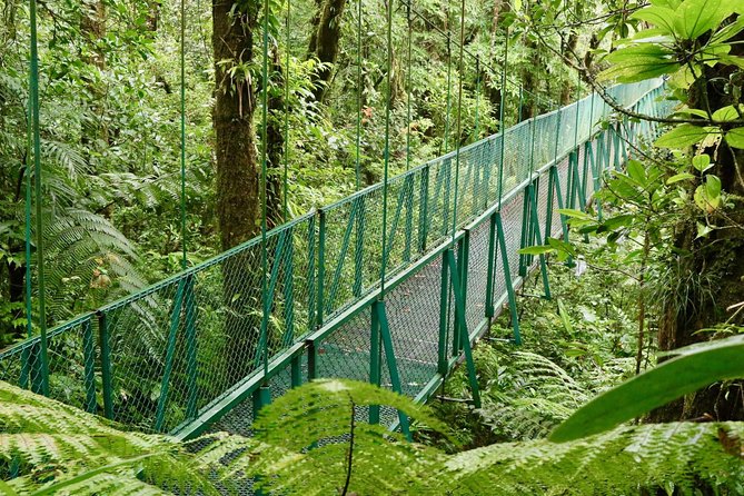 Selvatura Park Hanging Bridge Tour in Monteverde - Visitor Experience