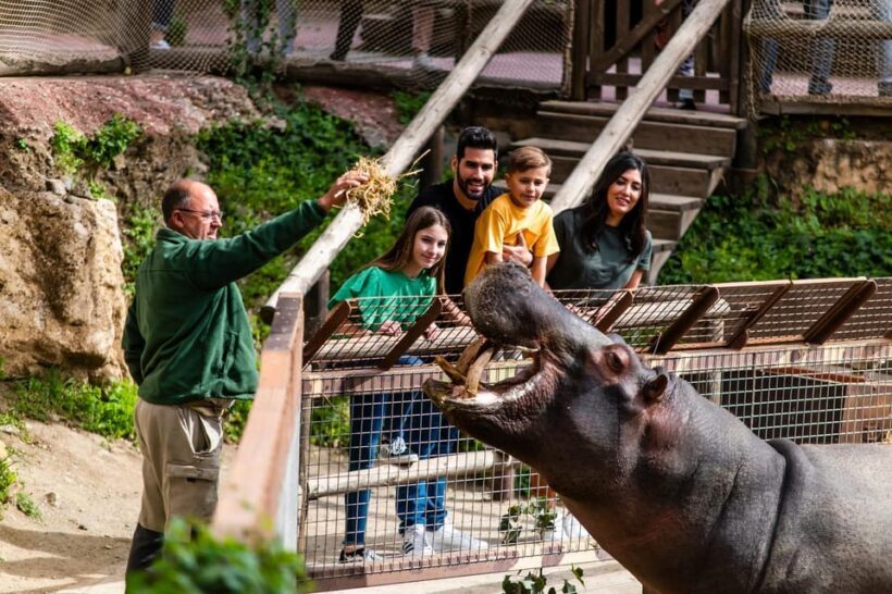 Selwo Aventura Admission Ticket with Skip-the-Line Access - Authentic Experiences and Visitor Insights