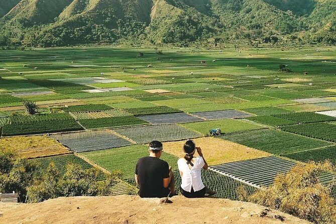 Sembalun Package.. (Special Rice Terrace View) - An In-Depth Look at the Tour Experience