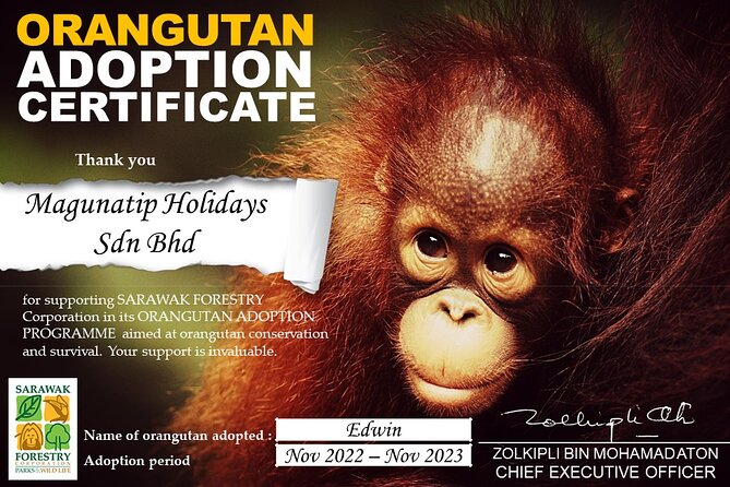 Semenggoh Orangutan Centre from Kuching - The Value of the Experience