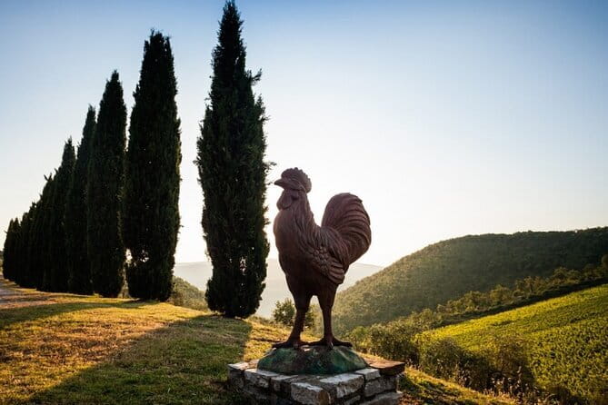 Semi-Private Chianti Wine Tour with Dinner in Tuscany Vineyard - The Sum Up