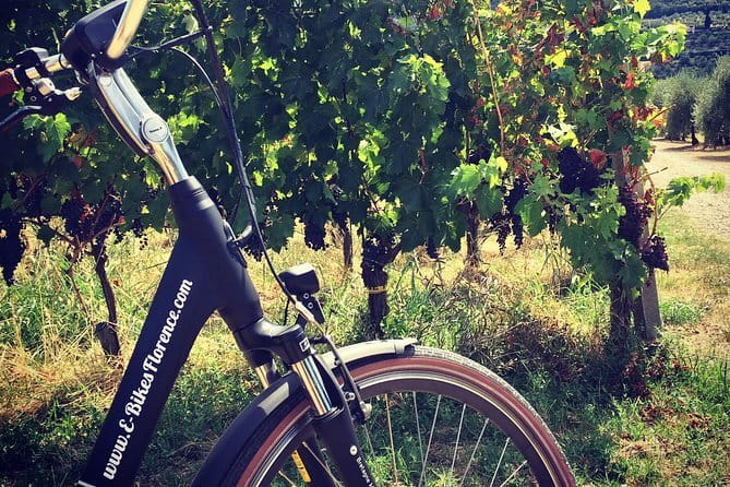 Semi-Private Chianti Wine Tour with Dinner in Tuscany Vineyard - Frequently Asked Questions