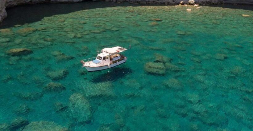 Semi Private Cruise  Morning Cruise Pollonia Polyaigos - Key Points