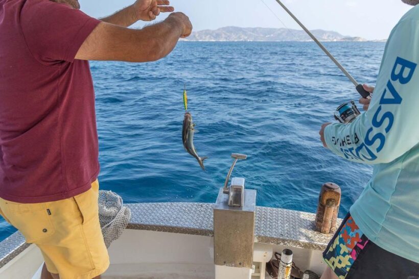 Semi Private Cruise  Morning Cruise Pollonia Polyaigos - FAQ