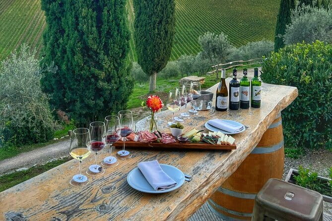 Semi Private Deep Wine Chianti and San Gimignano from Florence - Chianti: Wineries, Food, and Scenic Vistas