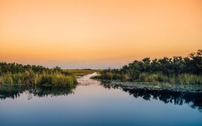 Semi-Private Everglades Tour from Miami Or Fort Lauderdale - An In-Depth Look at the Experience