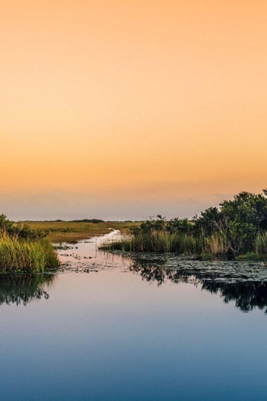 Semi-Private Everglades Tour from Miami Or Fort Lauderdale - What Travelers Are Saying: Authentic Perspectives
