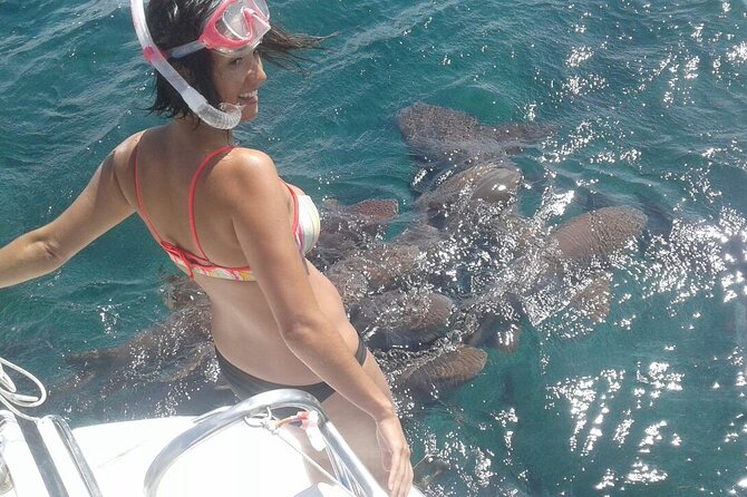 Semi-private Exclusive All-in-1 Full Day Guided Tour - Key Points