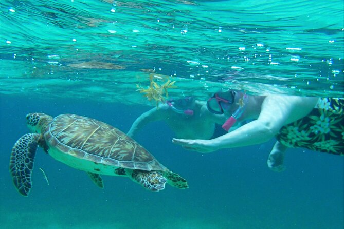 Semi-private Exclusive All-in-1 Full Day Guided Tour - Logistics