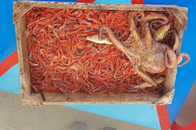 Semi - Private Fishing Tour (Transportation Included) - Who Should Join the Tour?