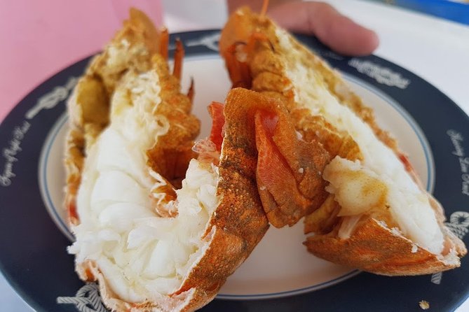 Semi - Private Fishing Tour (Transportation Included) - Sustainable Fishing Practices and Marine Education