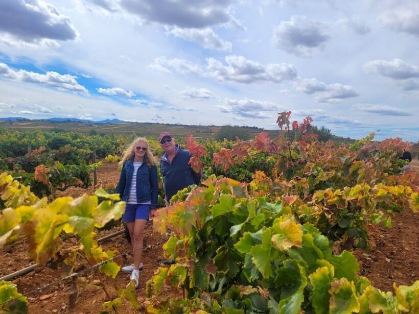Semi-Private La Rioja Tour of 3 Premium Wineries from Bilbao - Authentic Feedback from Past Travelers
