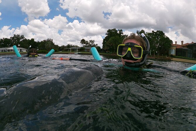 Semi-Private Manatee Snorkeling With in Water Guide - Gear and Amenities