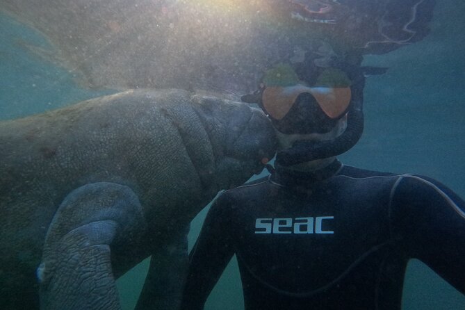 Semi-Private Manatee Snorkeling With in Water Guide - Customer Reviews