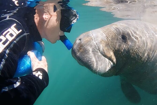Semi-Private Manatee Swim Tour With Guide (Photos Included) - The Experience: What You’ll Actually Do