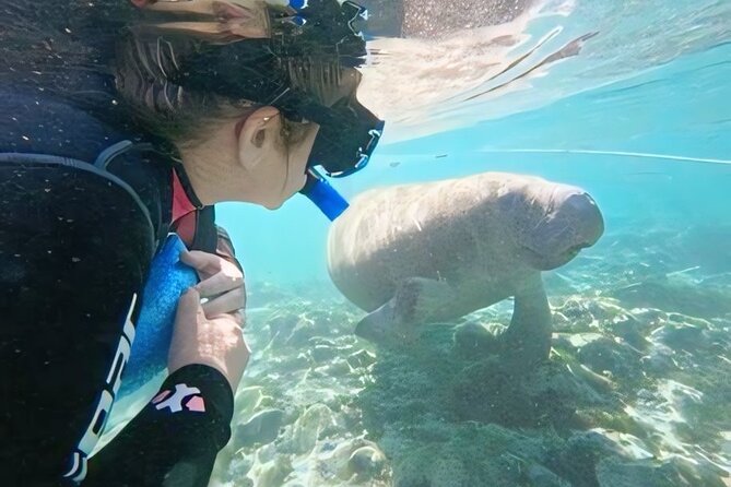 Semi-Private Manatee Swim Tour With Guide (Photos Included) - Value and Cost: What’s the Real Worth?