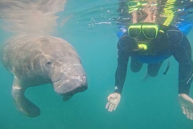 Semi-Private Manatee Swim Tour With Guide (Photos Included) - Who Should Consider This Tour?