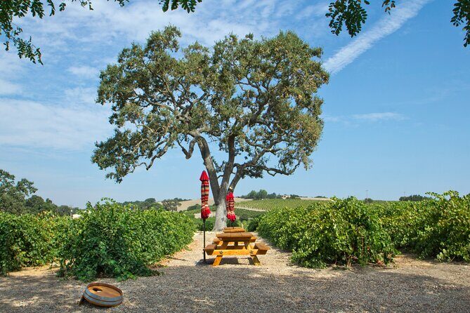 Semi-Private, Modified Hop-On Hop-Off Wine Tasting Tour from Morro and Cayucos - Why This Tour Offers Good Value