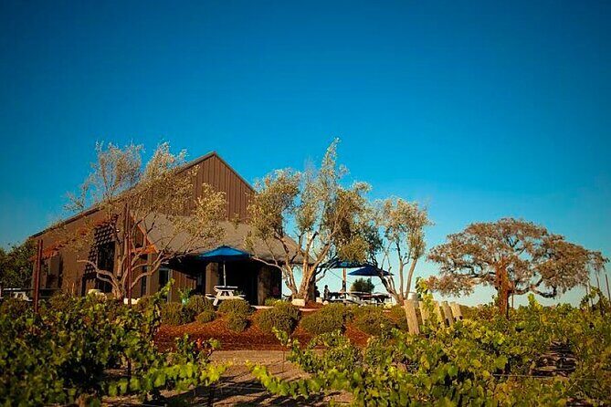 Semi-Private, Modified Hop-On Hop-Off Wine Tour from San Luis Obispo & Pismo - Who Will Love This Experience?