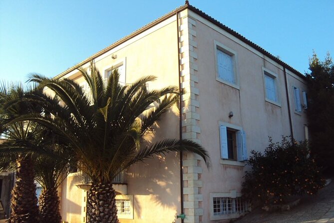 Semi- Private Olive Grove and Dragon Fruit Farm with Tastings - A Detailed Breakdown of the Itinerary