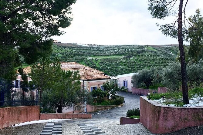 Semi- Private Olive Grove and Dragon Fruit Farm with Tastings - Practical Details and Logistics
