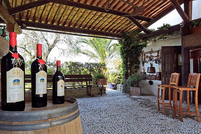 Semi Private Organic Wine & Food Tasting Tour (From Nice) - Tour Inclusions