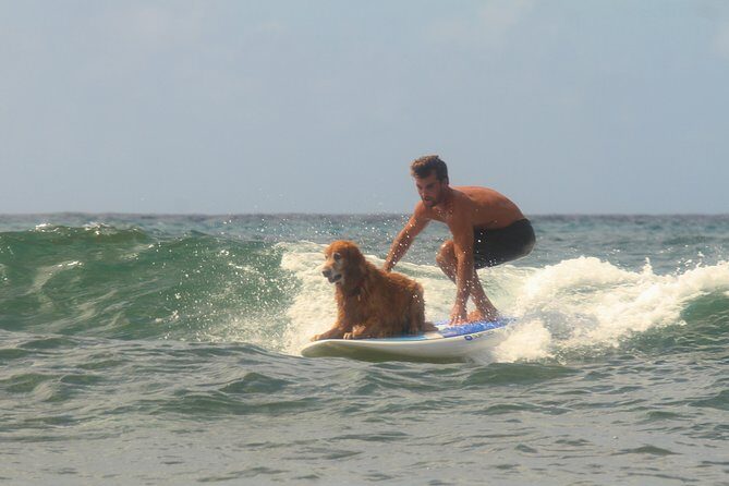 Semi-Private Surf Lesson - Pricing and Value