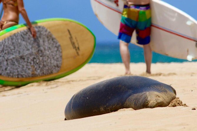 Semi-Private Surf Lesson - Authenticity and Customer Feedback