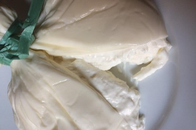 Semi Private tasting and Cheese-making Class in Florence - Introduction