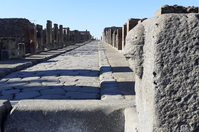 Semi - Private Tour of Pompeii With an Archeologist - Accessibility and Participation