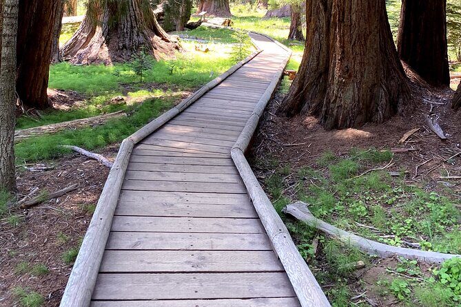 Semi Private Tour to Sequoia National Park with Lunch - An Introduction to the Tour Experience