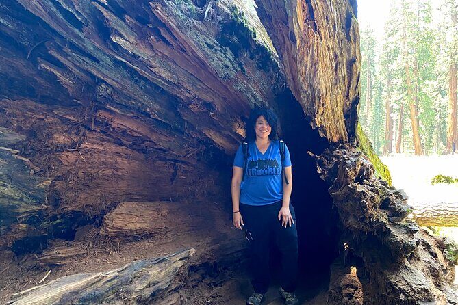 Semi Private Tour to Sequoia National Park with Lunch - Value for Money