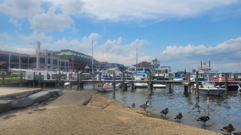 Semi-Private Walking Tour Old Town Alexandria & Carlyle - Discover Historic Alexandria with a Semi-Private Walking Tour