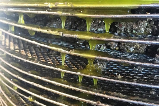 Semi Private Wine and Olive Oil Tour (Transfer & Lunch Incl.) - Booking Information and Cancellation Policy