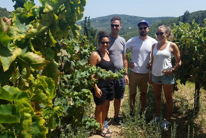 Semi-Private Wine Discovery Tour in Chania - Itinerary and Experience
